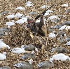 New Final Approach Pack-N-Go S.U.B. Layout Blind