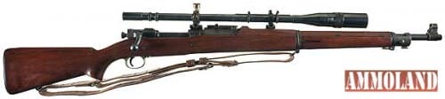 1903 Springfield Family Of Rifles - Part 2