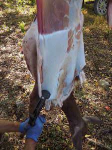 VIKING SOLUTIONS Unveils the Super Hide Puller