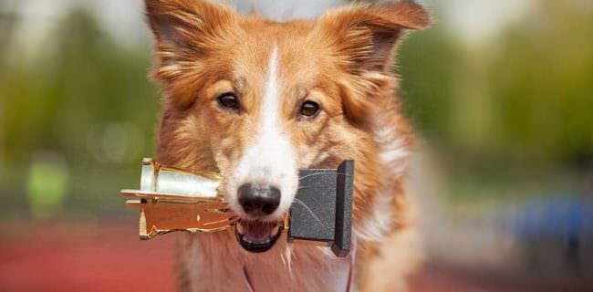 LaserLyte Rumble & Steel Laser Trainer Kit Offers Perfect Plinking Practice