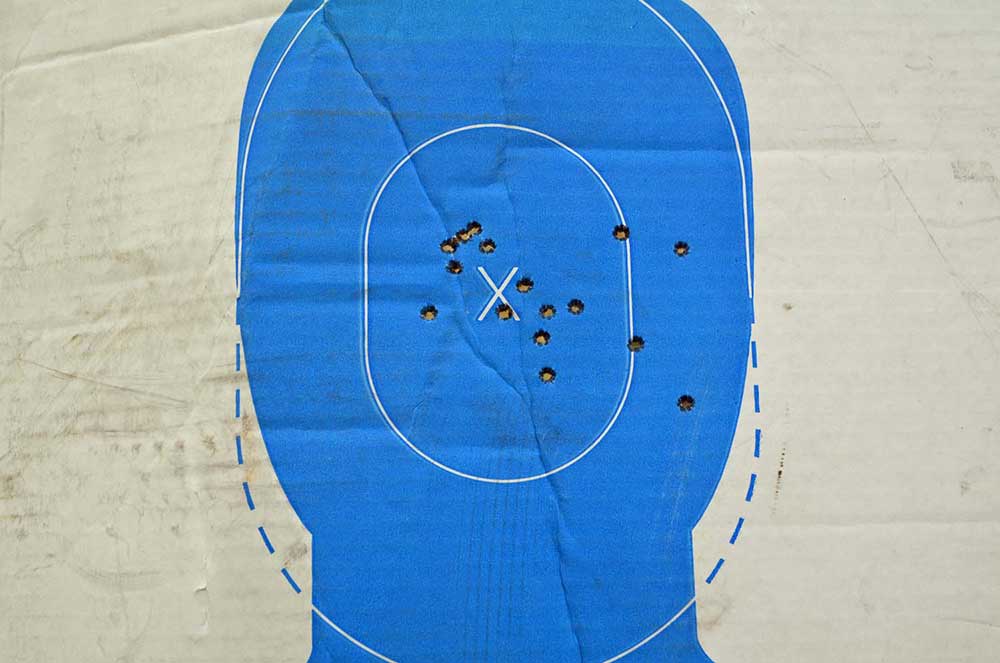 Savage Arms A22 Rifle in 22 LR - Gun Review Surprises