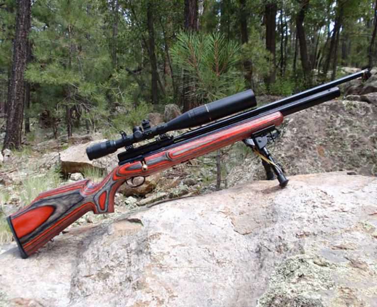 Best Air Rifles & Pellet Guns For Long Term Survival