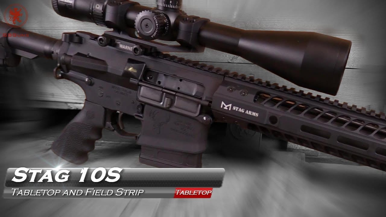 Stag Arms Model 10S Rifle - Field-Strip & Test ~ VIDEO