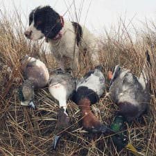 Have Fun While Giving Back At Utah's Waterfowl Slam