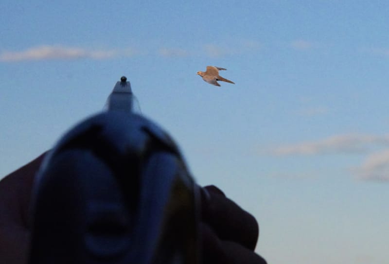How to Shoot At Moving Targets