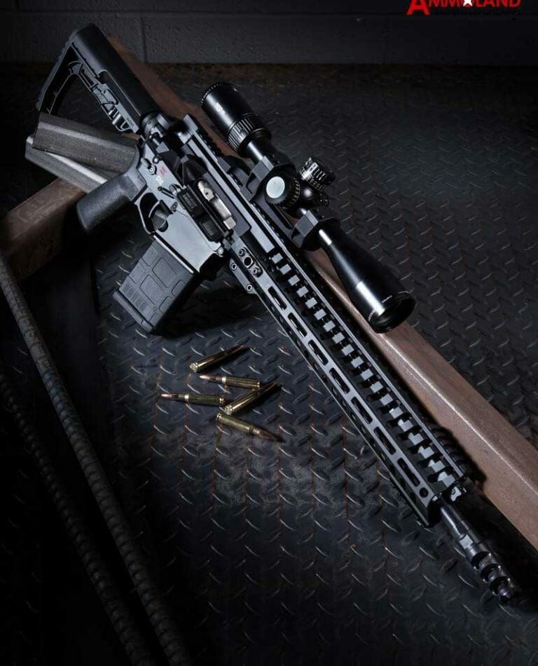 Patriot Ordnance Factory Revolution Rifle in 308 Comments ~ VIDEO