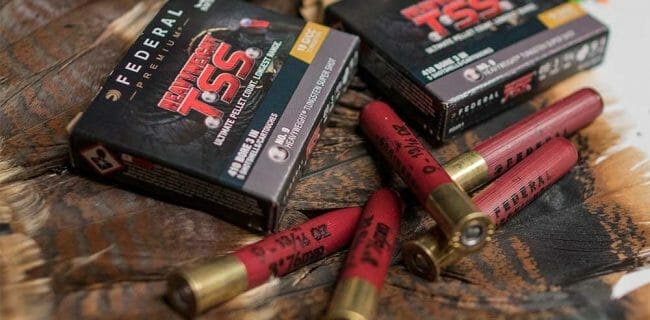 Ammunition News - Page 4 of 72