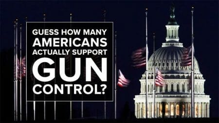 Gallup: Gun Control Not High on List of Problems