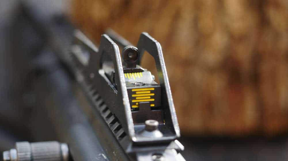 Hi-Point 10mm Carbine - Gun Review