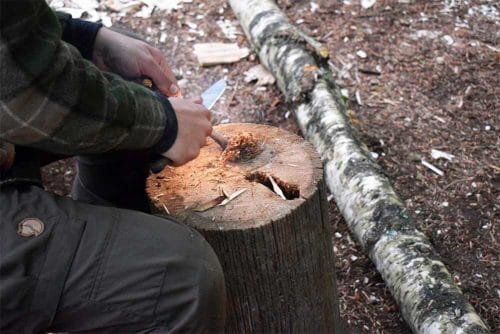 My British Bushcraft Adventure