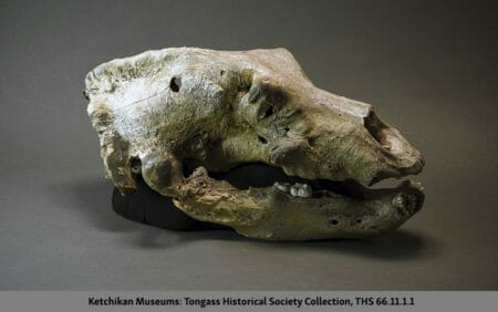 "Old Groaner": Alaskan Myth about a Bear and Pistol Defense - AmmoLand ...