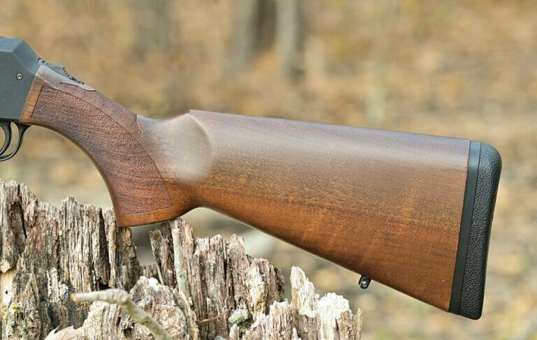 Henry Homesteader 9mm Carbine Video Review & Range Report