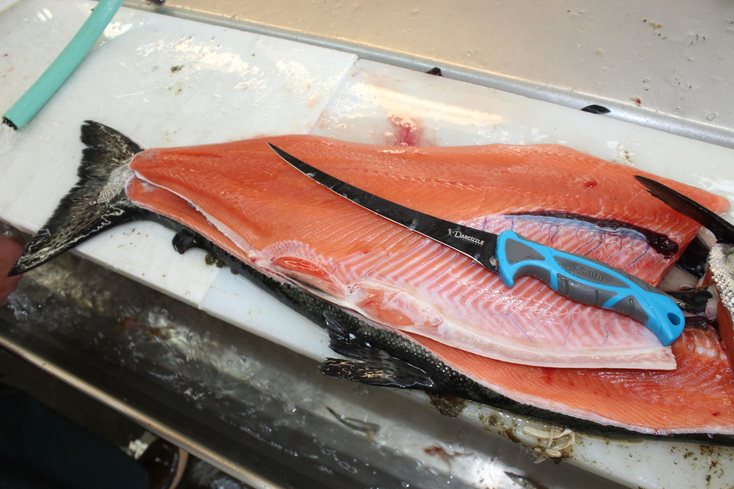 Smith’s Darcizzle 8in. Curved Flex Fillet Knife