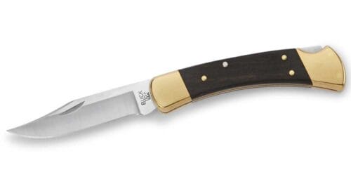 Buck 110 Folding Hunter Knife, What About It?