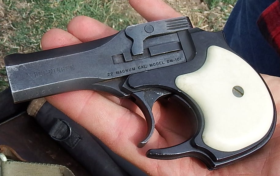 Private Buyers at Dallas Gun Buyback Find Great Deals on Firearms