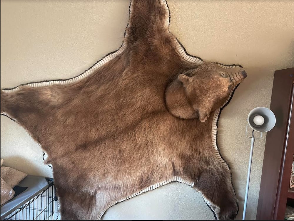 Washington State Bear Attack Stopped with .45 Long Colt Revolver