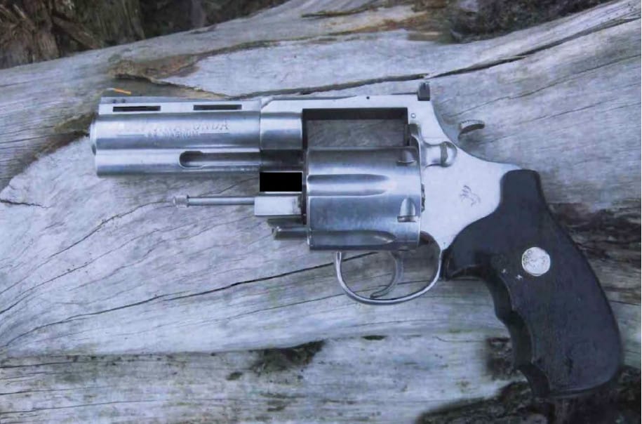 Wyoming Grizzly Bear Attack Stopped with 44 Magnum Revolver