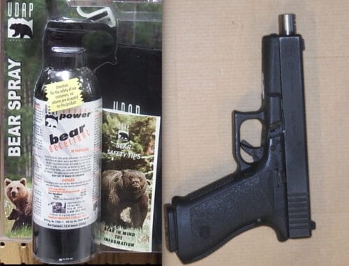 Why Firing a Handgun or Spraying Bear Spray Matters