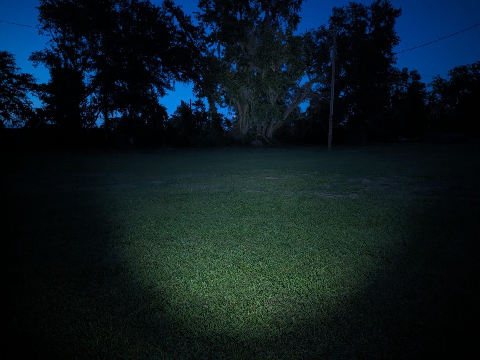 Olight Odin GL M Tactical Flashlight | Olight's New Rifle Light