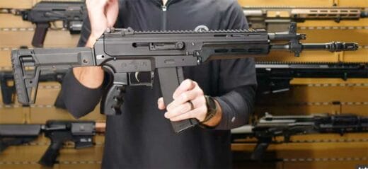 The Evolution of the PSA VUK Rifle Platform : Palmetto State Armory ...