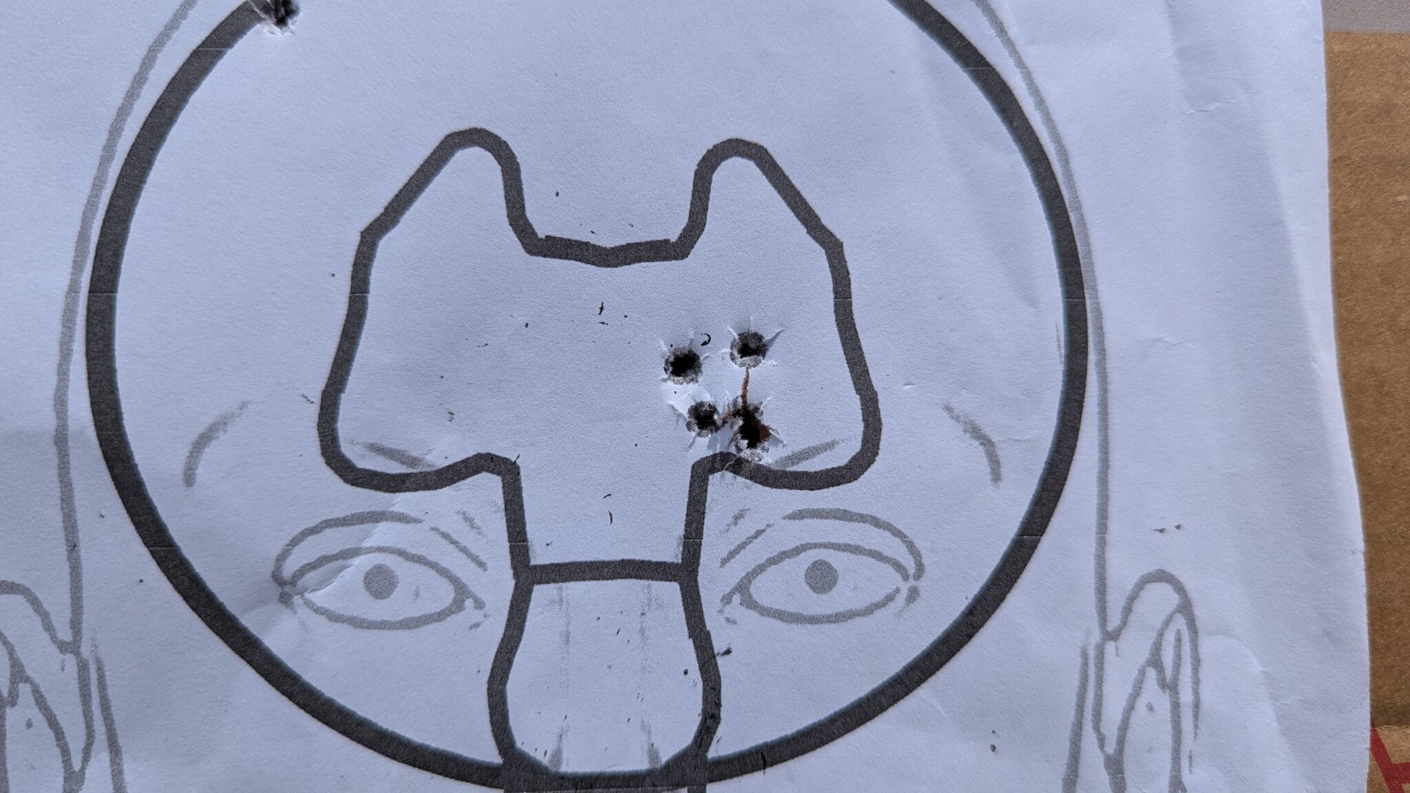 Farrow Tech FT17 - PDW Your KelTec P17